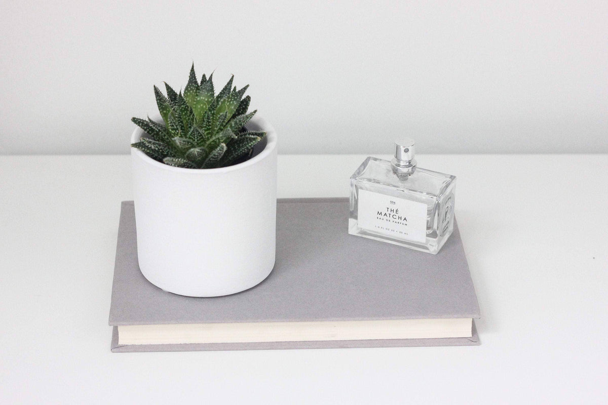 Matte White Terracotta Cylinder Planter Pot – Rooted