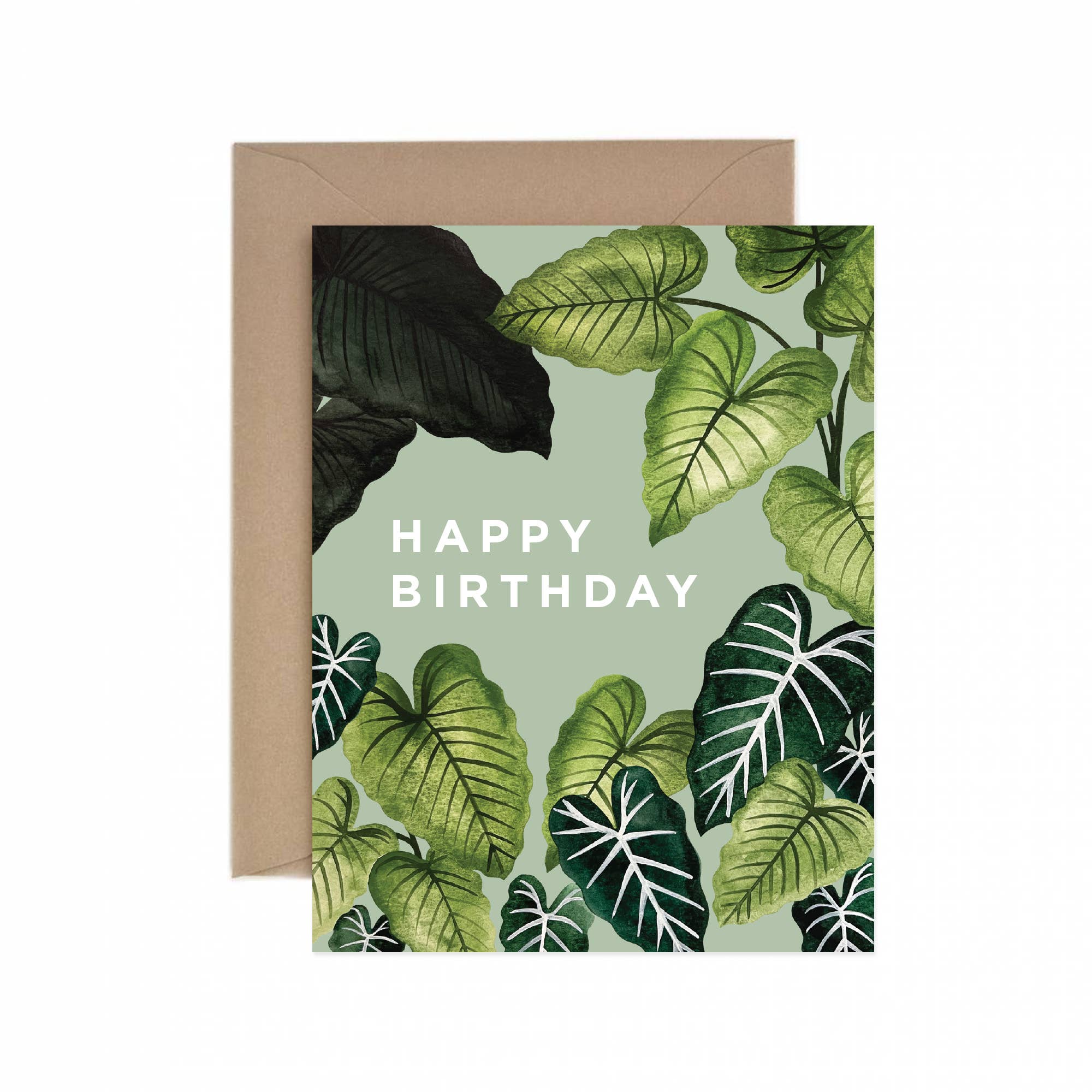Alocasia Happy Birthday Greeting Card – Rooted